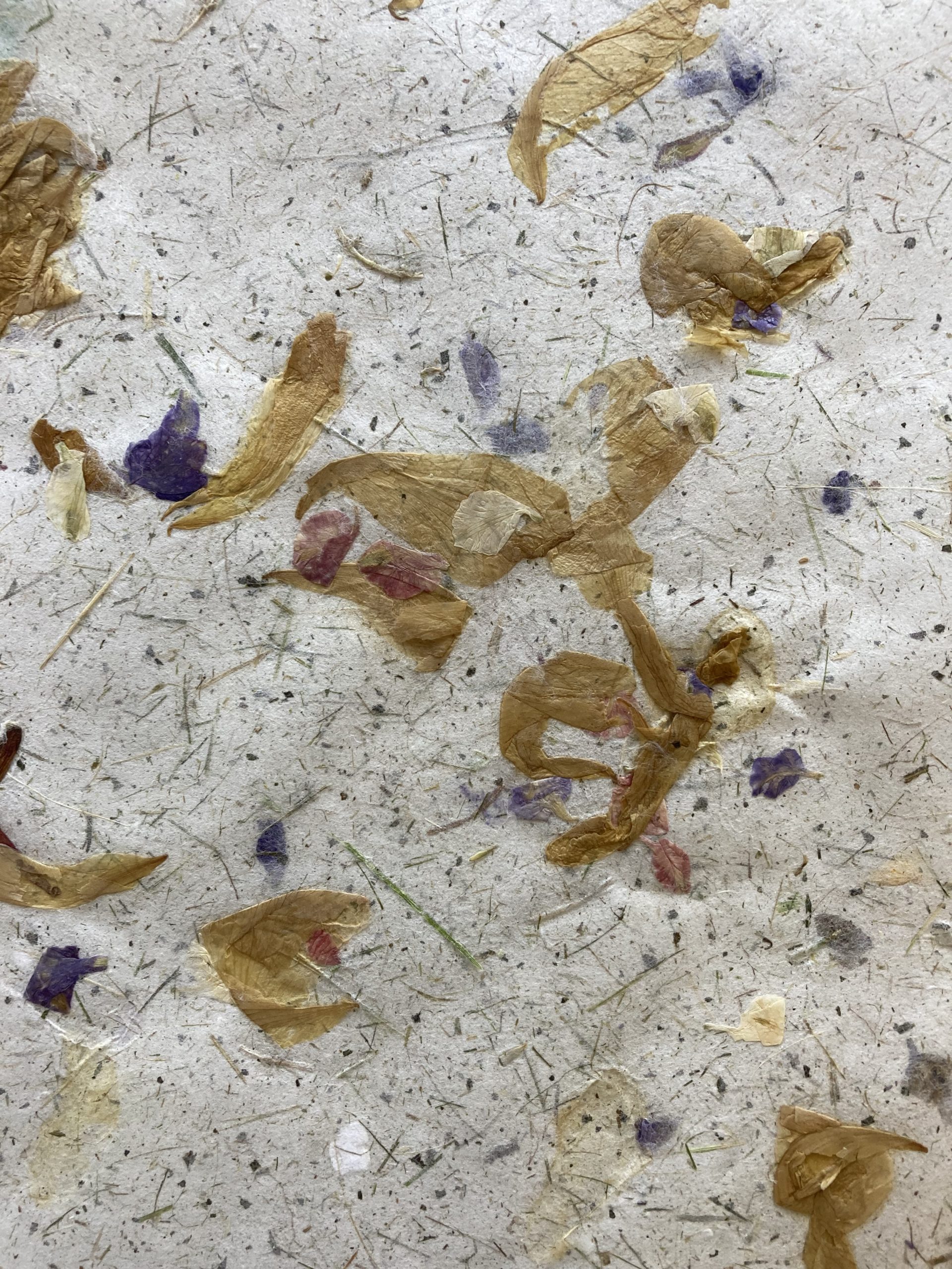 Craft Sessions - Memo Arts Centre, Barry