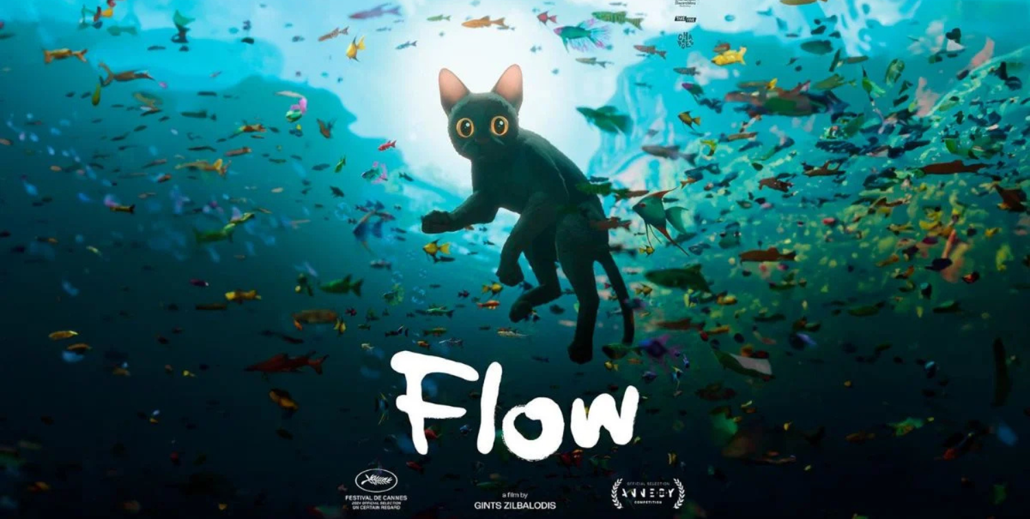 Flow (U) - Memo Arts Centre, Barry